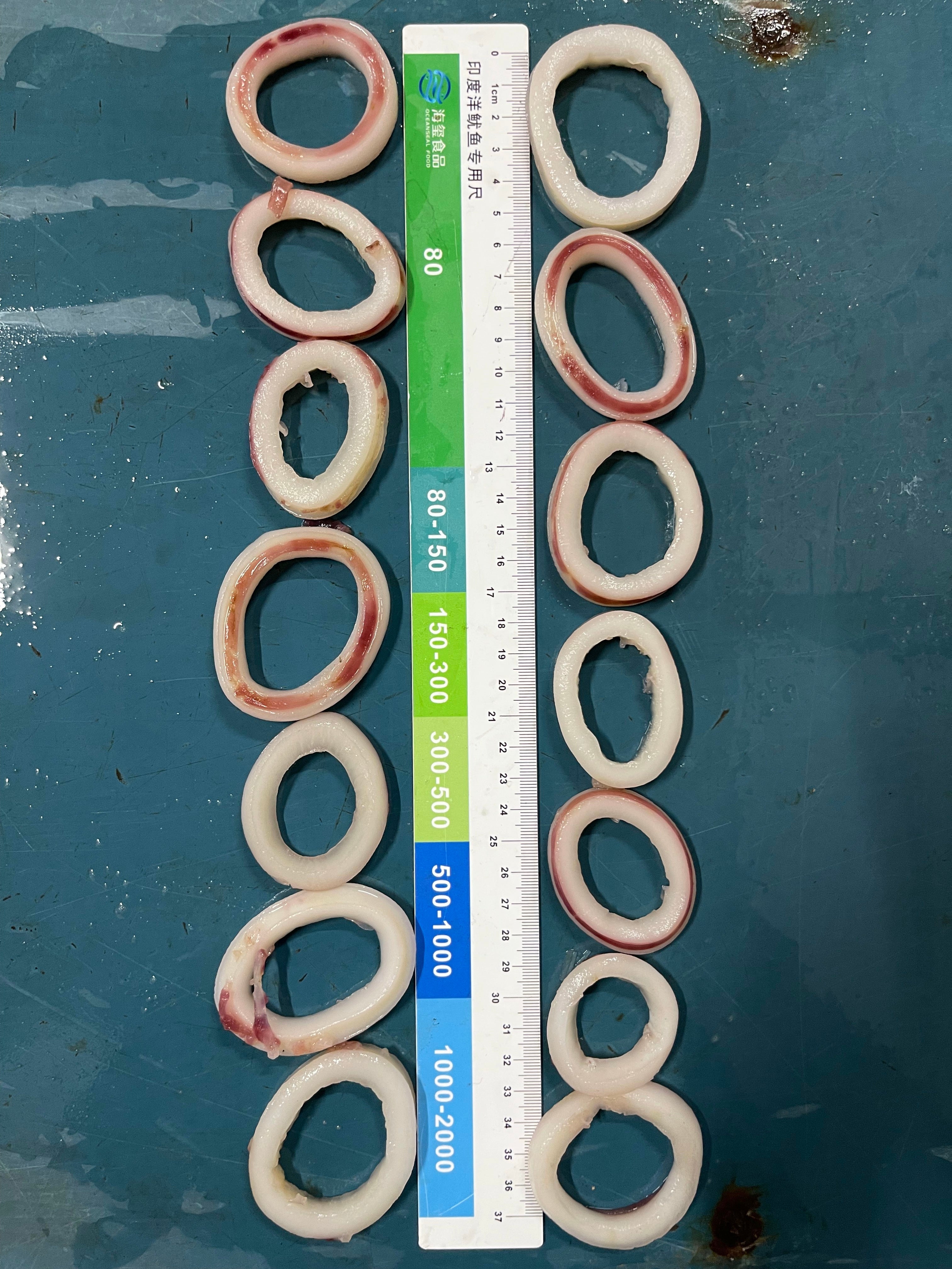 Frozen Squid Ring – OCEANSEAL FOOD
