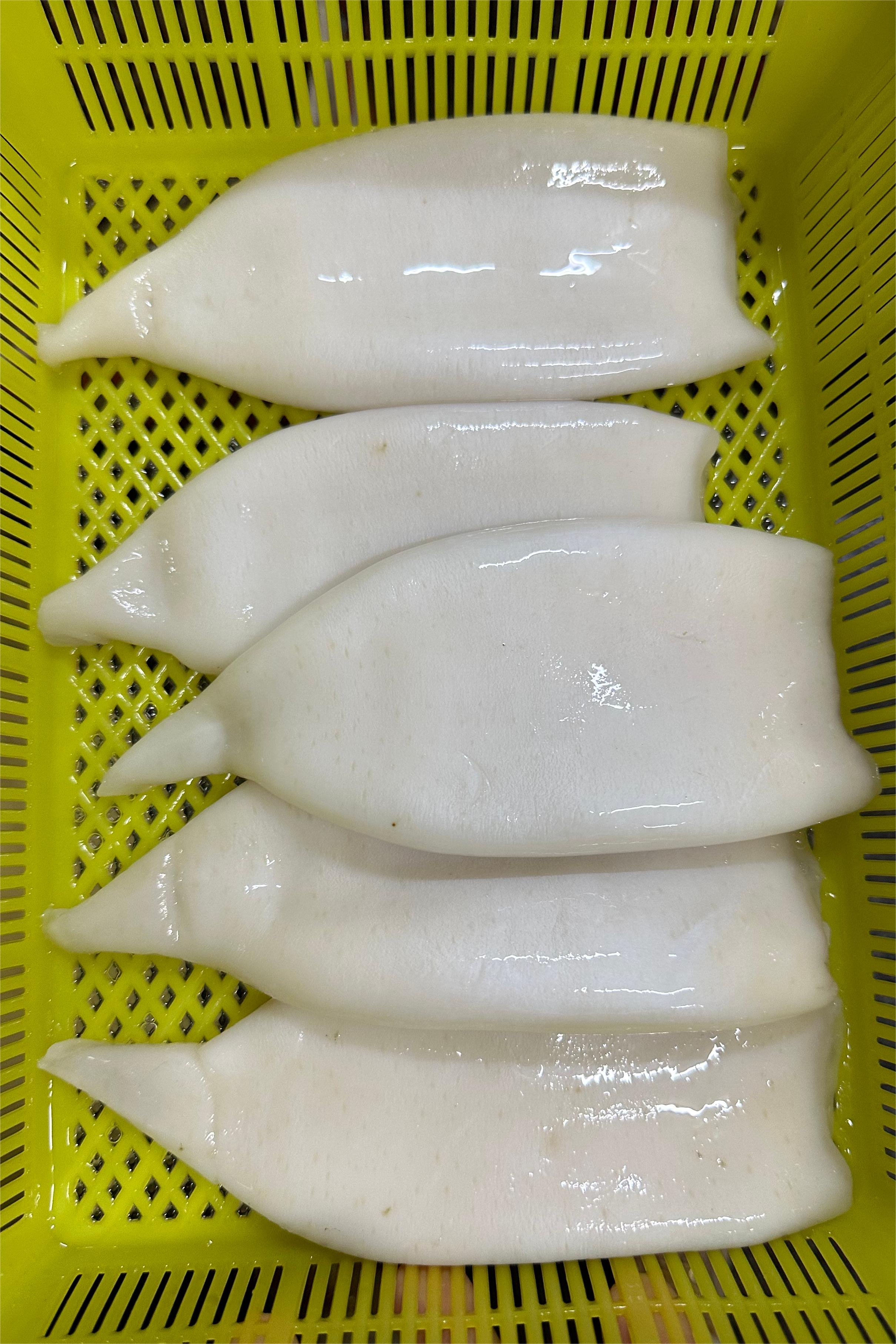 FROZEN SQUID TUBE – OCEANSEAL FOOD