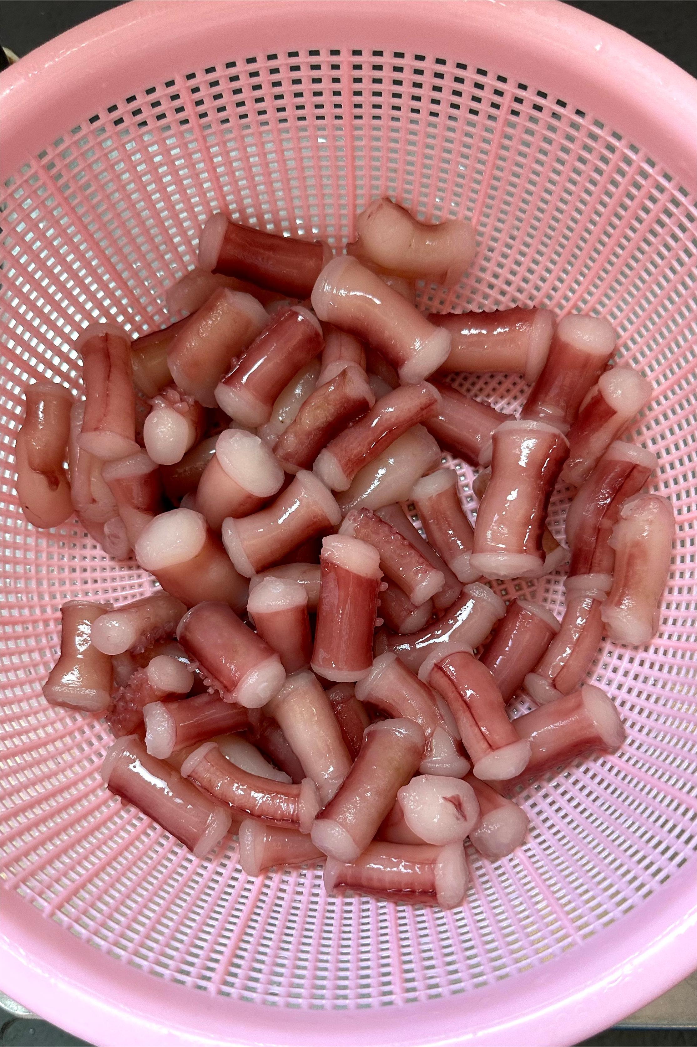 FROZEN SQUID TENTACLE CUT – OCEANSEAL FOOD